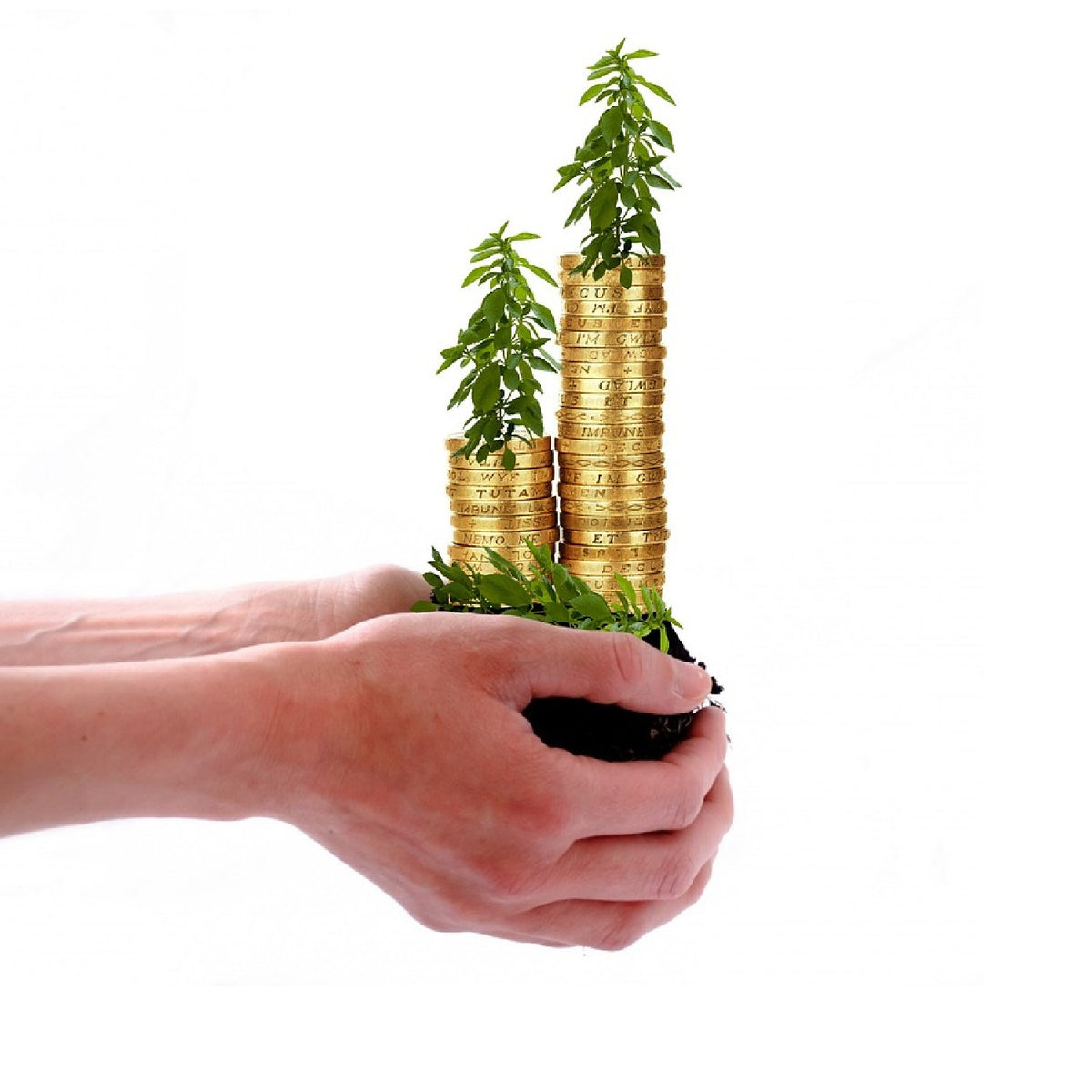 Value Boxes – Armstrong Country Foods