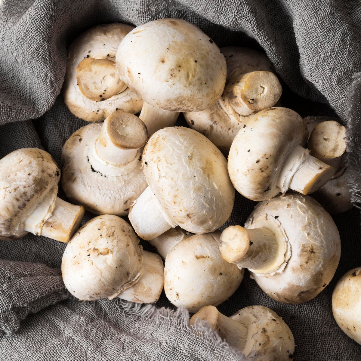 Local Mushrooms – Armstrong Country Foods