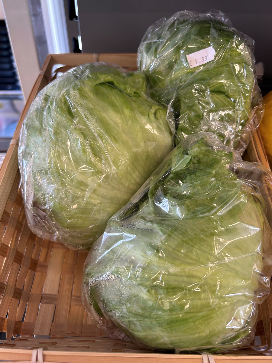 Fresh Iceberg Lettuce – Armstrong Country Foods
