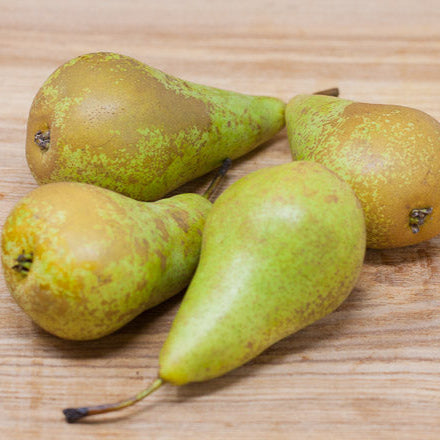 Conference Pears - Loose – Armstrong Country Foods