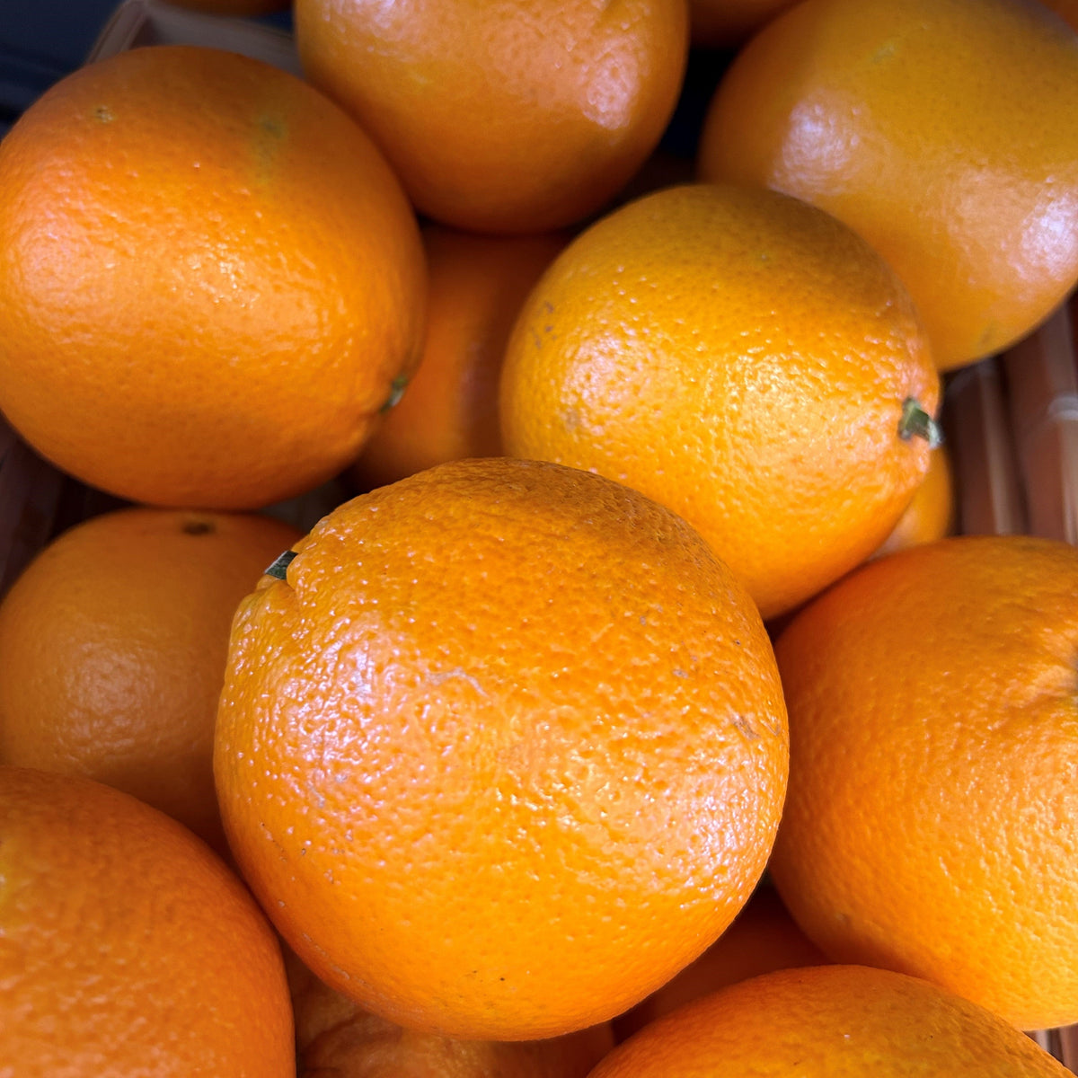 Small Loose Oranges – Armstrong Country Foods